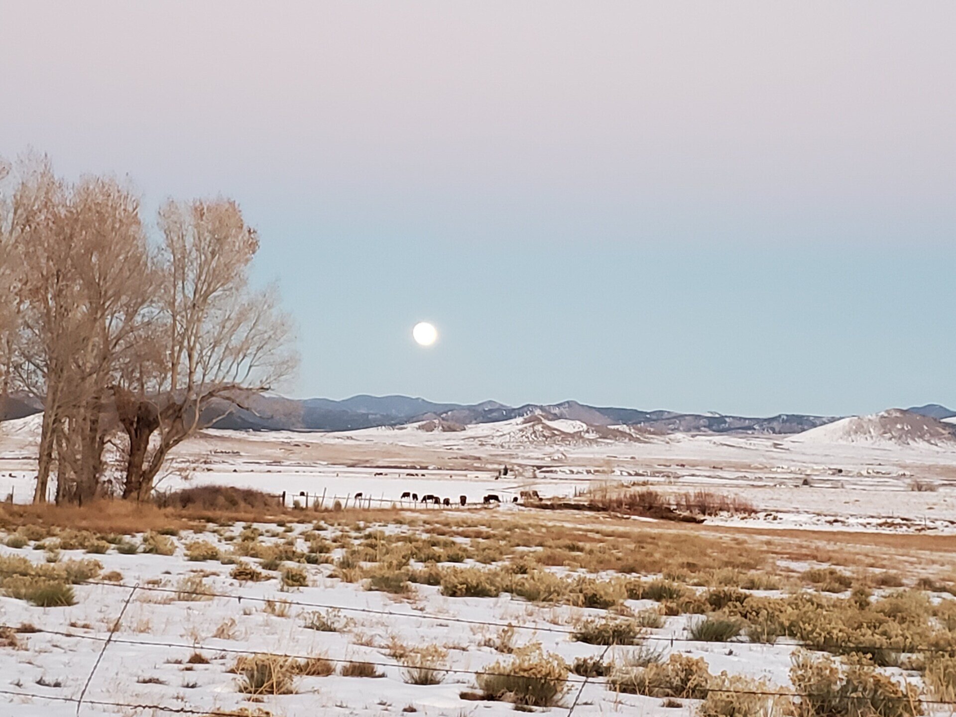 Georgia Ranch Trail rides horses nature adventure riding